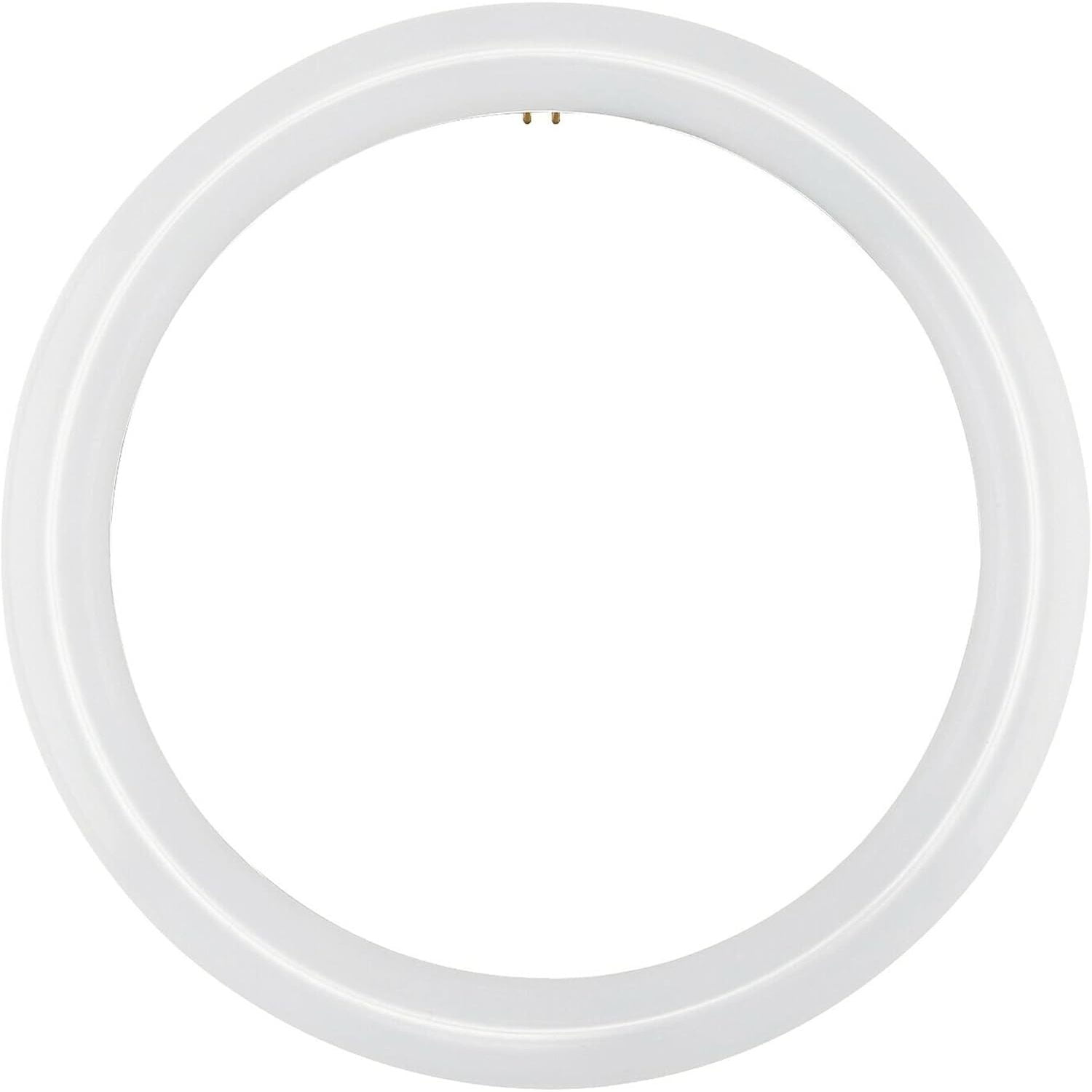 12 Inch/ 12" Plug & Play T9 Circline LED Lamp - Daylight (6000K ...