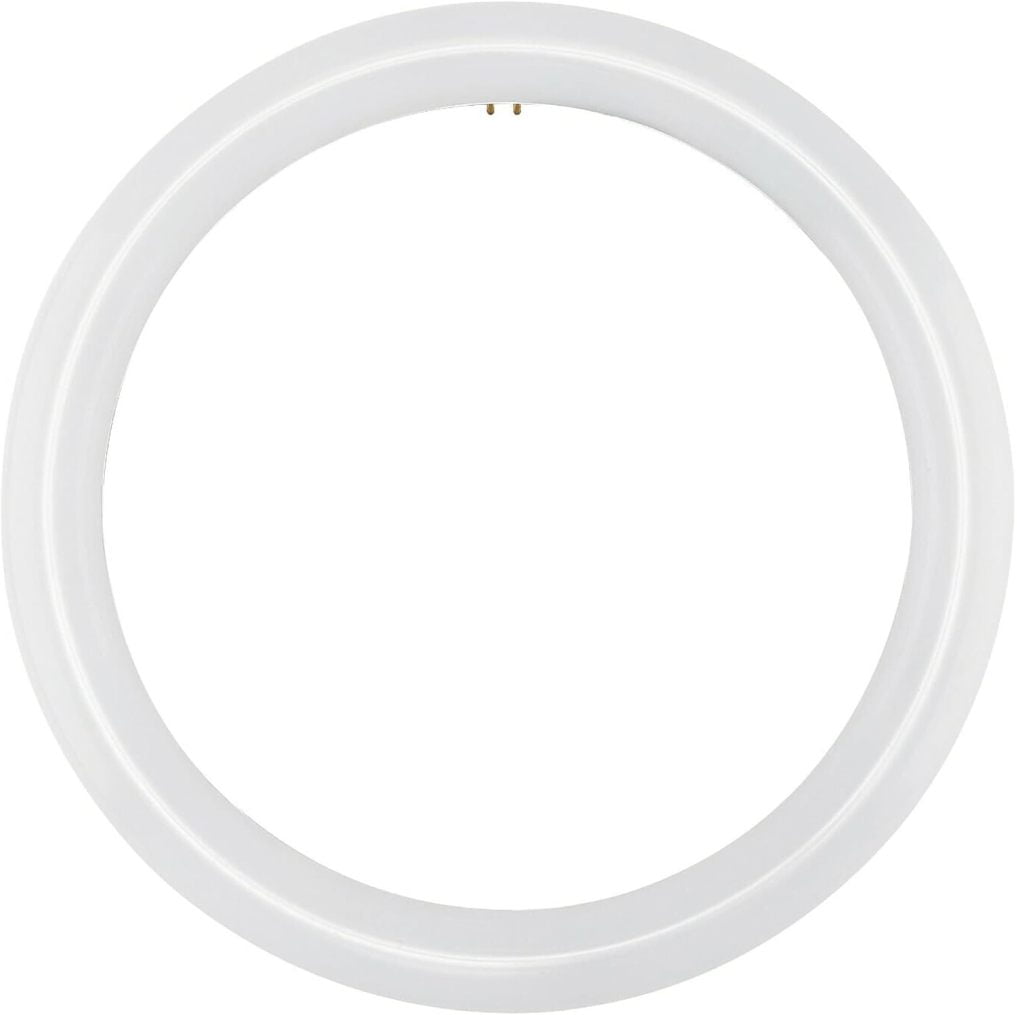 12 Inch/ 12" Plug & Play T9 Circline LED Lamp - Daylight (6000K ...