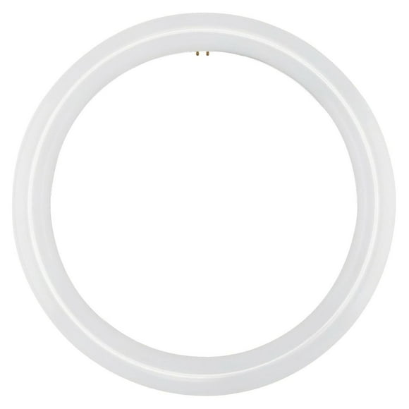 Circular Light Bulbs