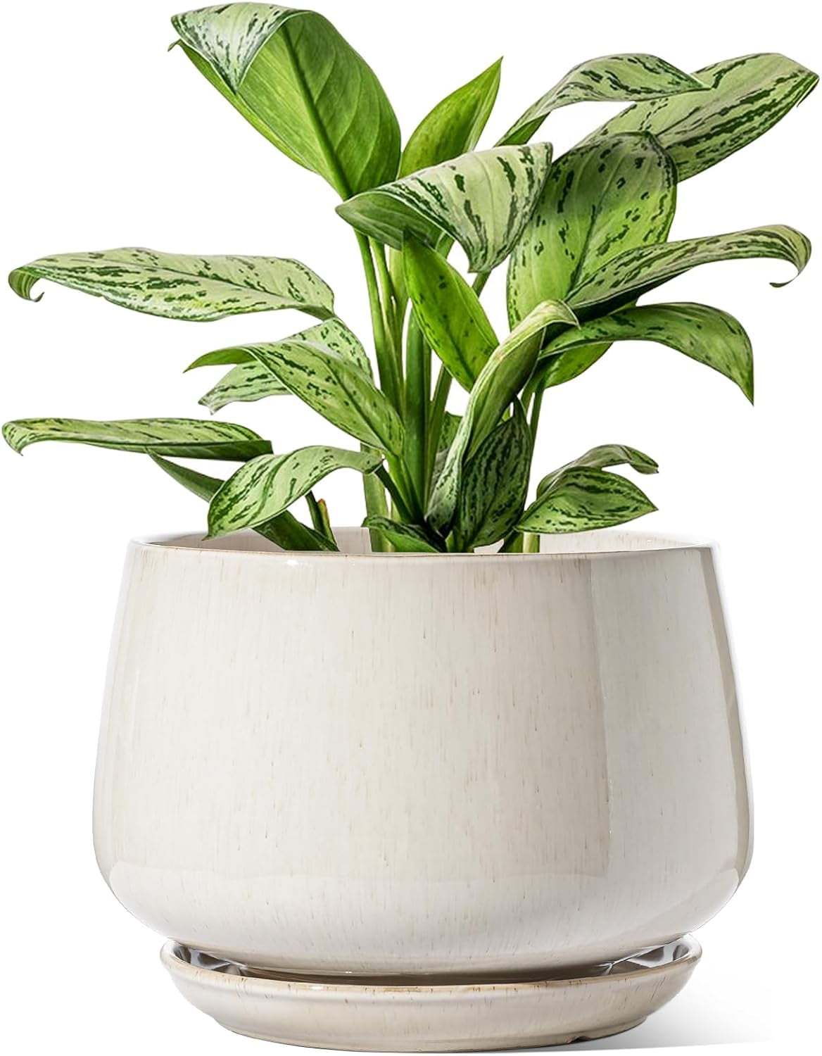 12 Inch Ceramic Planters for Indoor Plants with Drainage Holes and ...