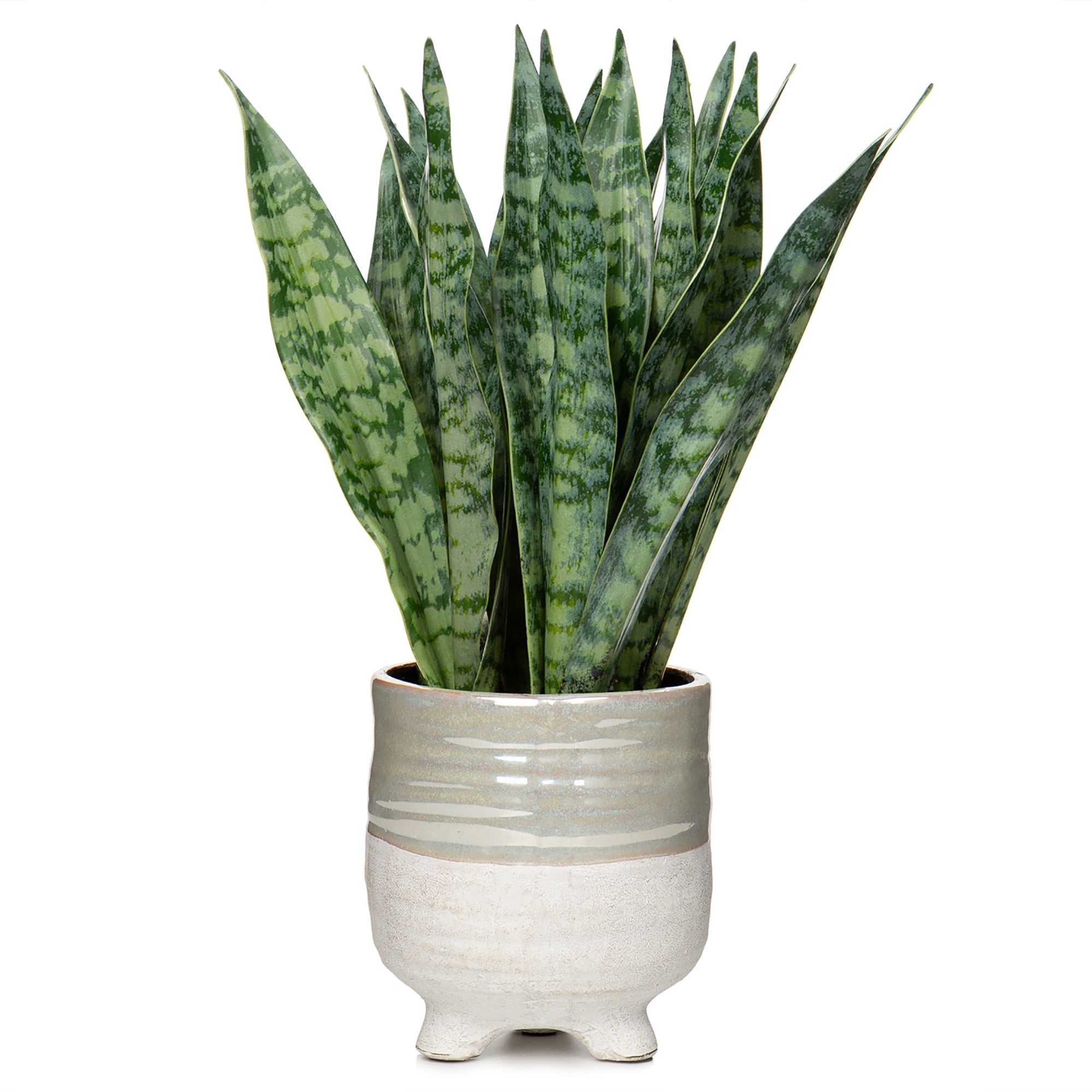 12 Inch Fake Snake Plant Small Artificial Snake Plant Ceramic Pot Faux ...