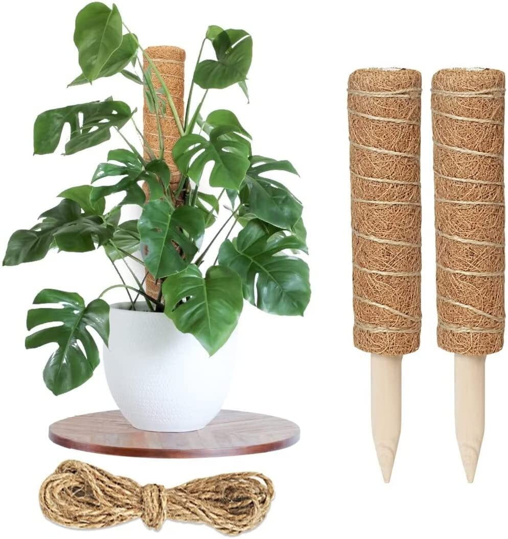 12 Inch Moss Pole Monstera - 2 Pcs Totem Moss Poles for Climbing Plants ...