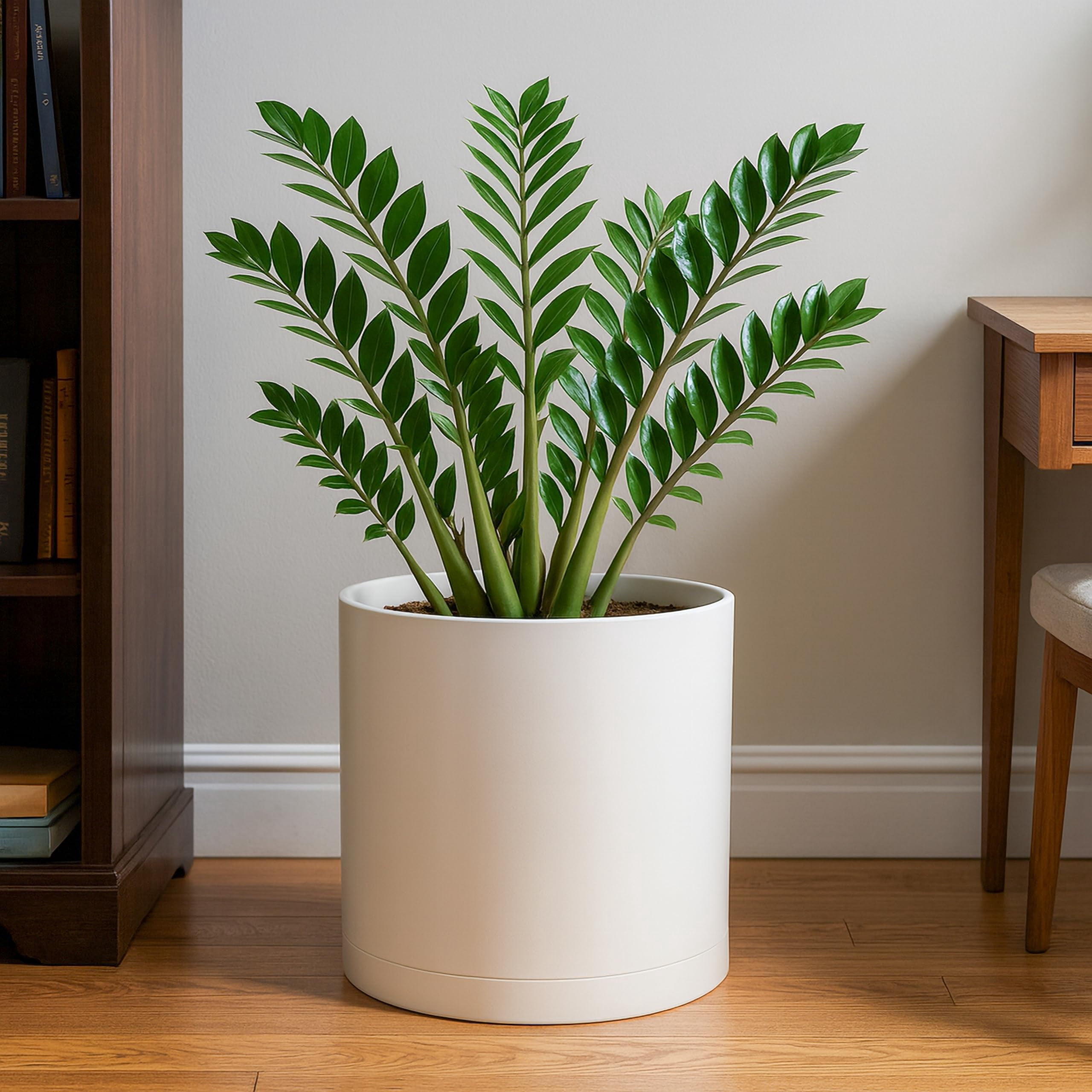 12 Inch Plastic Planter Pots for Plant Pot with Drainage Hole and ...
