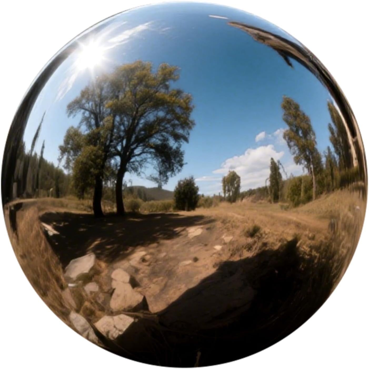 12 Inch Stainless Steel Gazing Ball, Garden Gazing Globe Mirror Ball ...