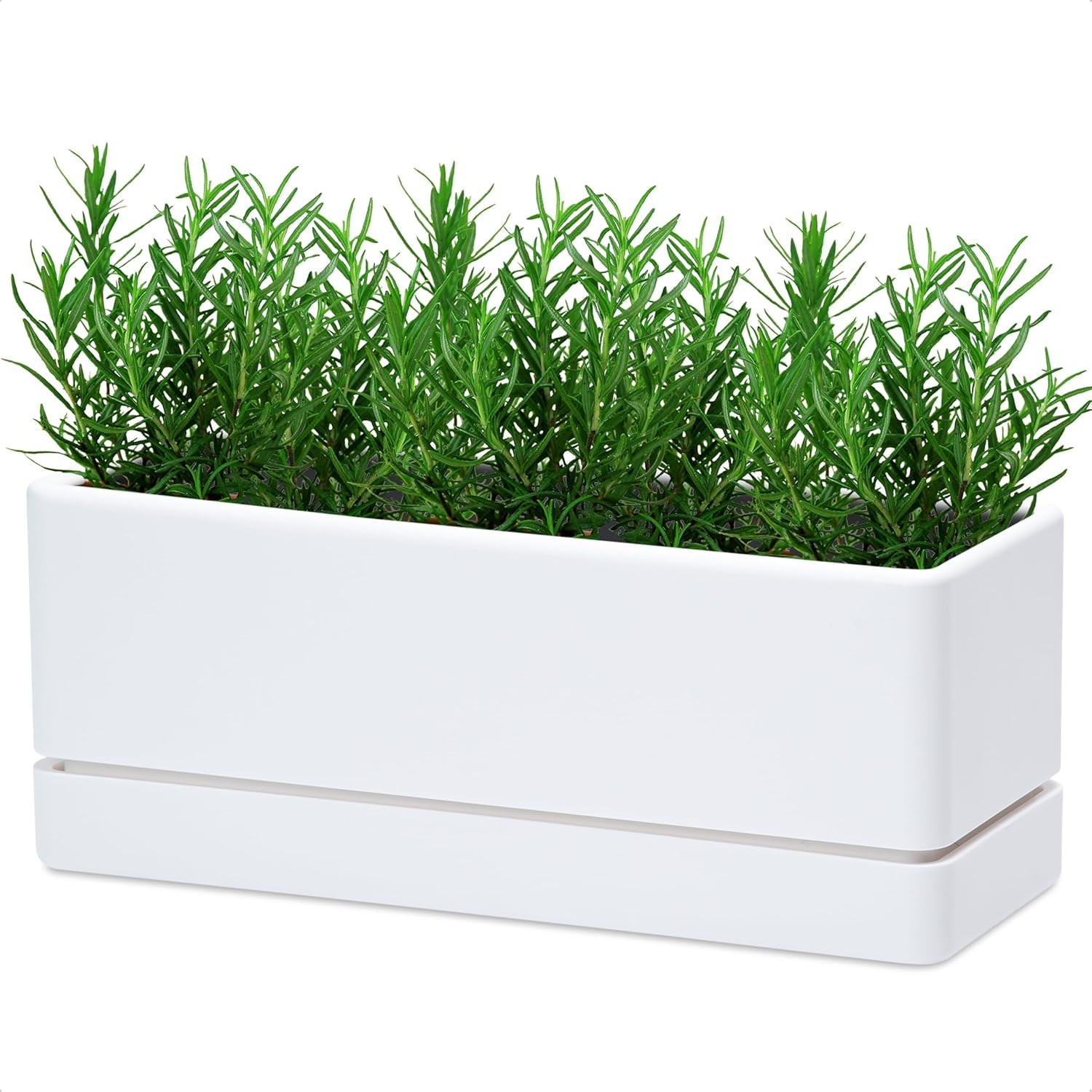12 Inch Window Box Planter, Rectangle Plastic Herb Planter with ...