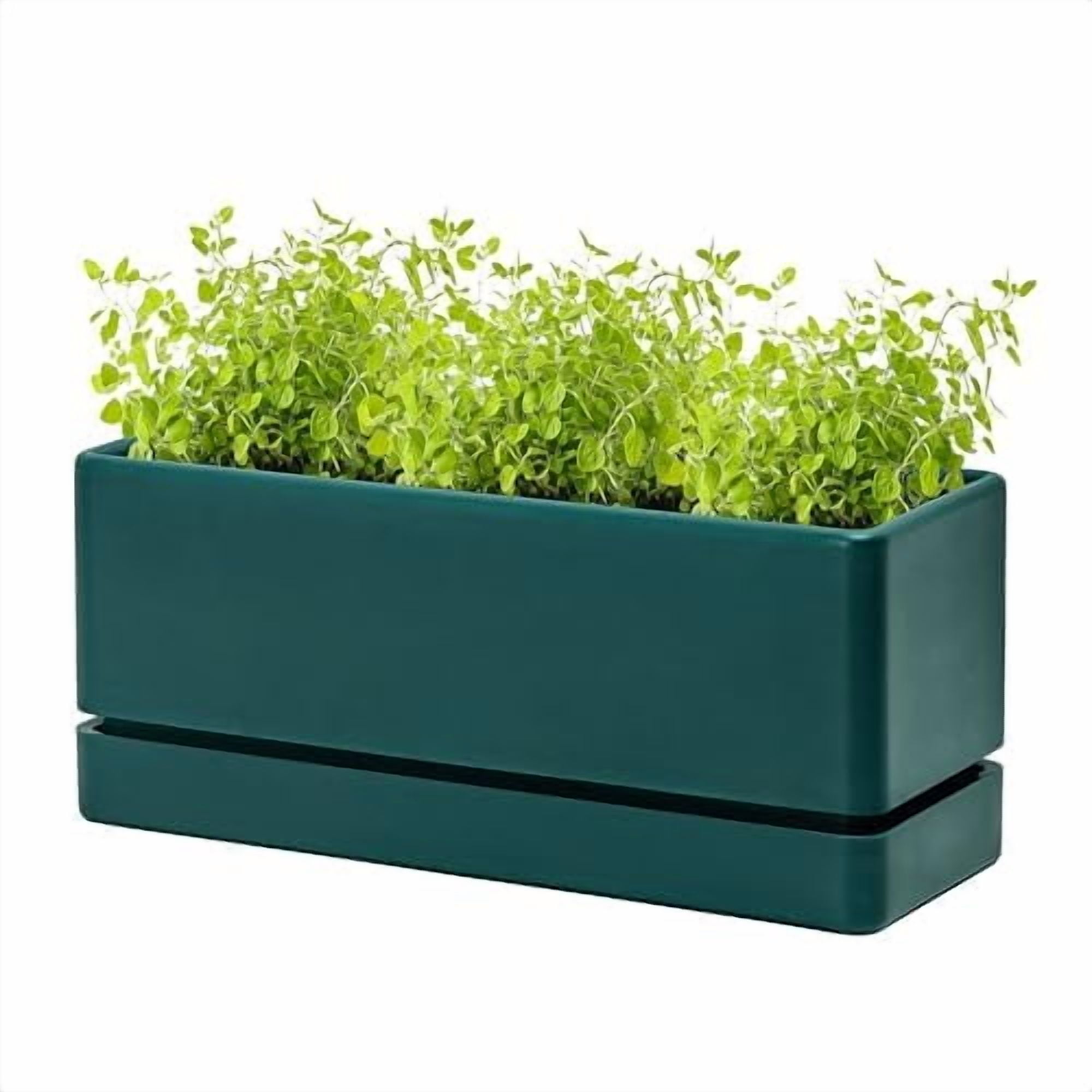 12 Inch Window Box Planter, Rectangle Plastic Herb Planter with ...