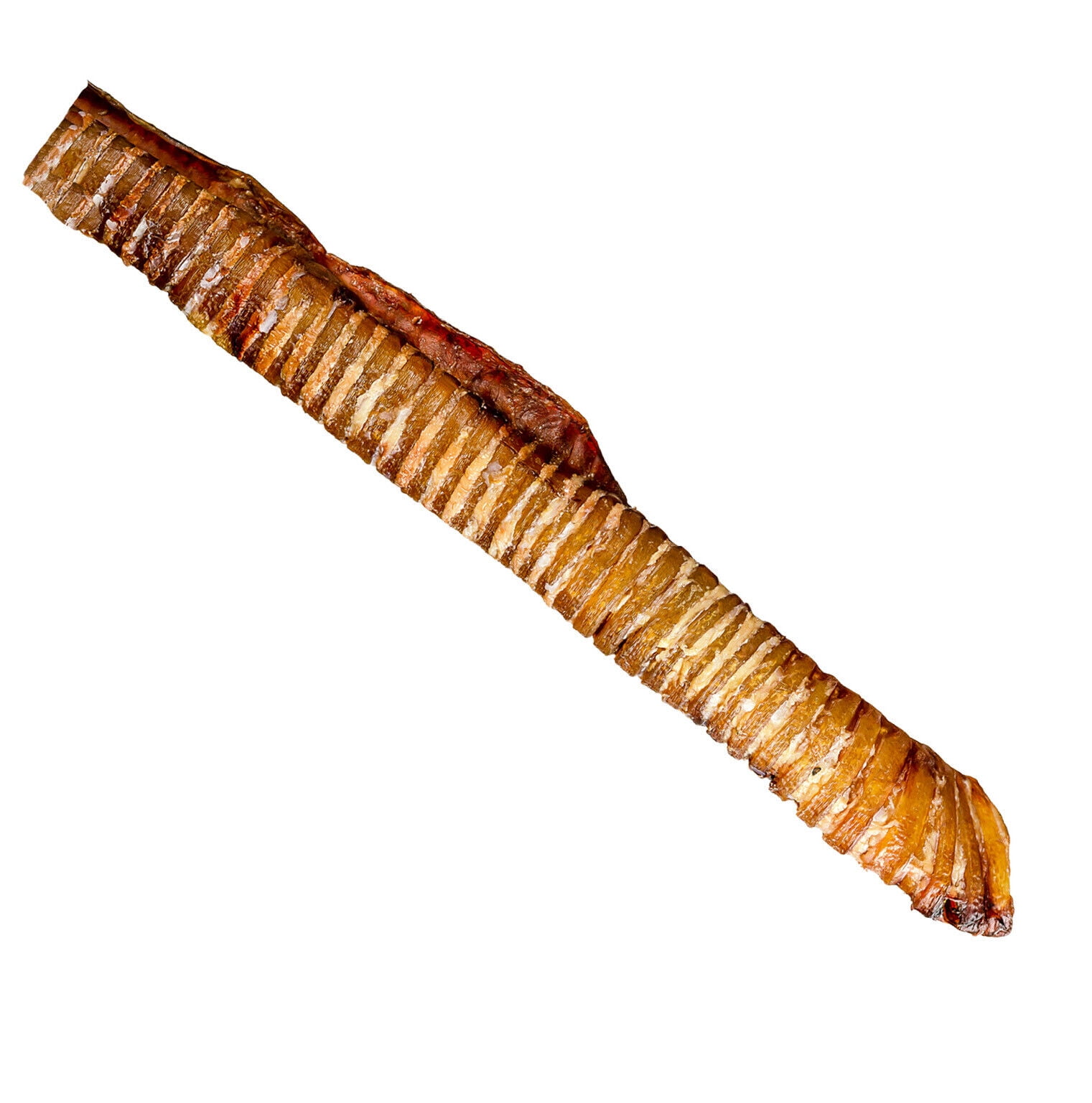 12 Inches - 10 Count Trachea Chews for Dogs 100% Natural Beef Chew ...