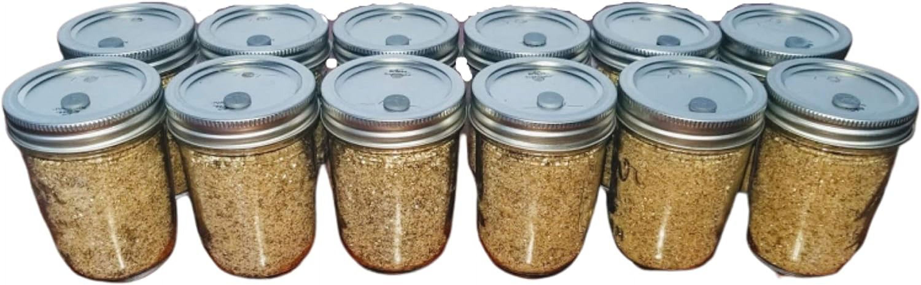 12 Jars PF Tek Brown Rice Flour Mushroom Substrate - Half Pint Jars ...