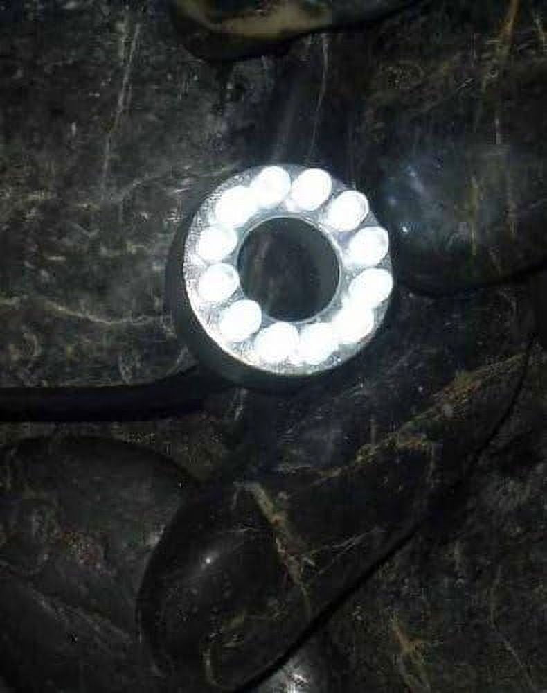 12 LED Pond Ring Light - White - Walmart.com