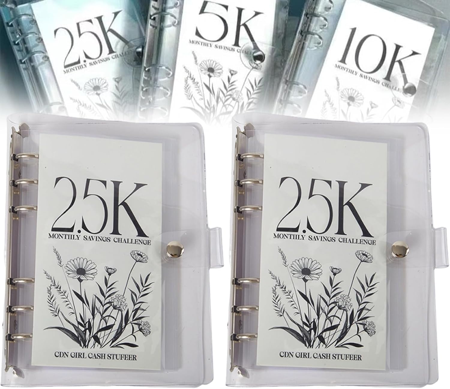 12-Month Envelopes Money Saving Challenge Binder, 2025 New Loose Leaf Money Saving Planner ...