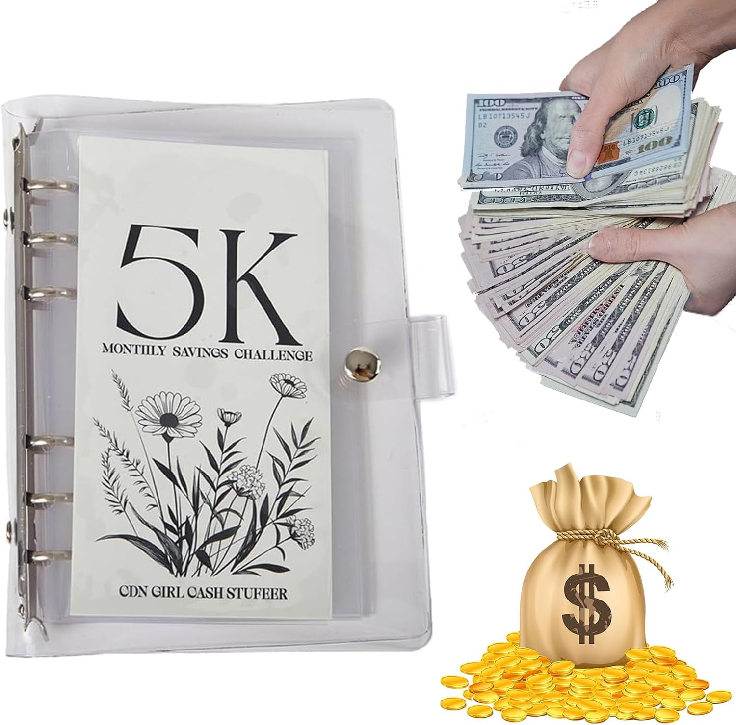 12-Month Envelopes Money Saving Challenge Binder,Budget Binder with ...