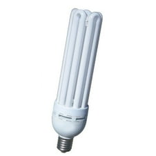 Long Bulb