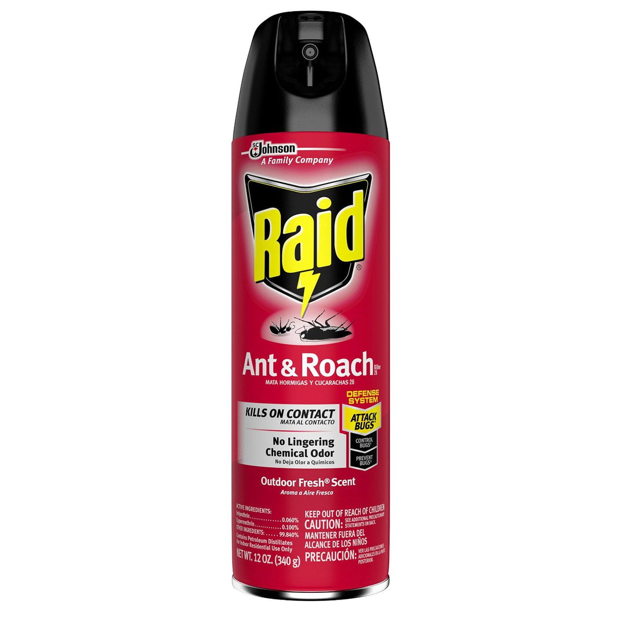 12 PACKS : Raid Ant & Roach Killer with Outdoor Fresh Scent, 12-Ounce ...
