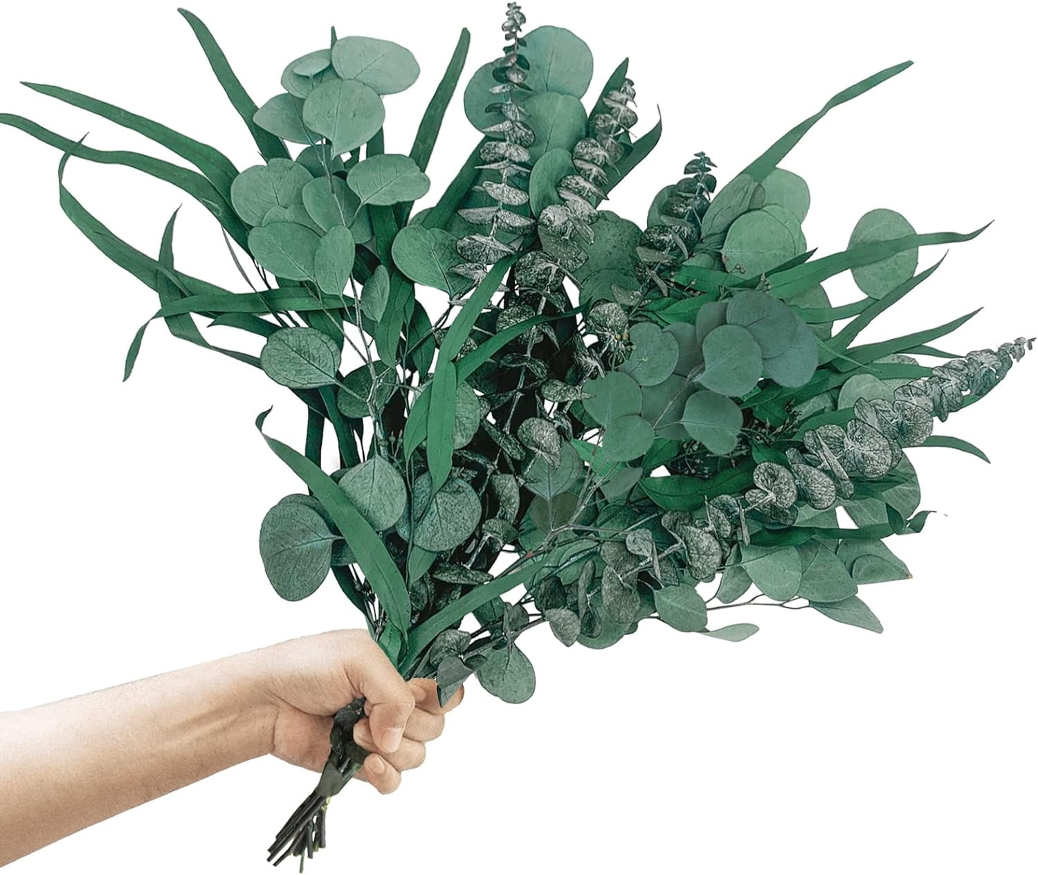 12 PCS Dried Eucalyptus Stems & Lavender Flowers Bundle for Shower, 17 ...