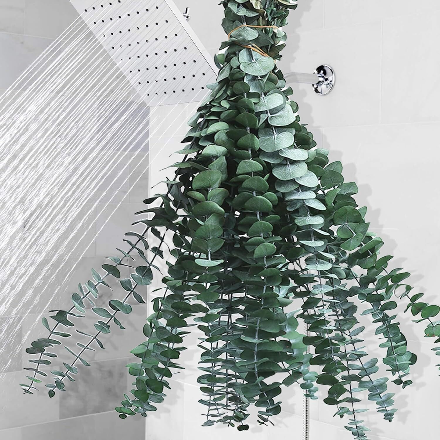 12 PCS Dried Eucalyptus Stems for Shower - 17" Large Preserved ...