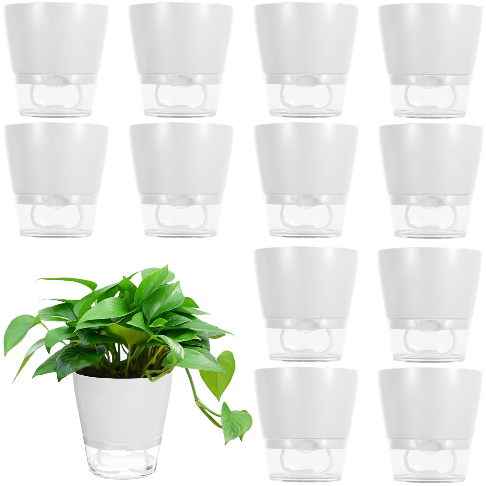 12 PCS Self Watering Planters, 6 in Succulent Pots with Wick Rope ...
