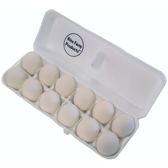 12 PK WHITE CERAMIC DUMMY CHICKEN NESTING NEST FAKE TRAINING EGG ...