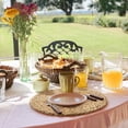 12 Pack 13.8-Inch Round Woven Placemats Natural Hand-Woven Rattan ...