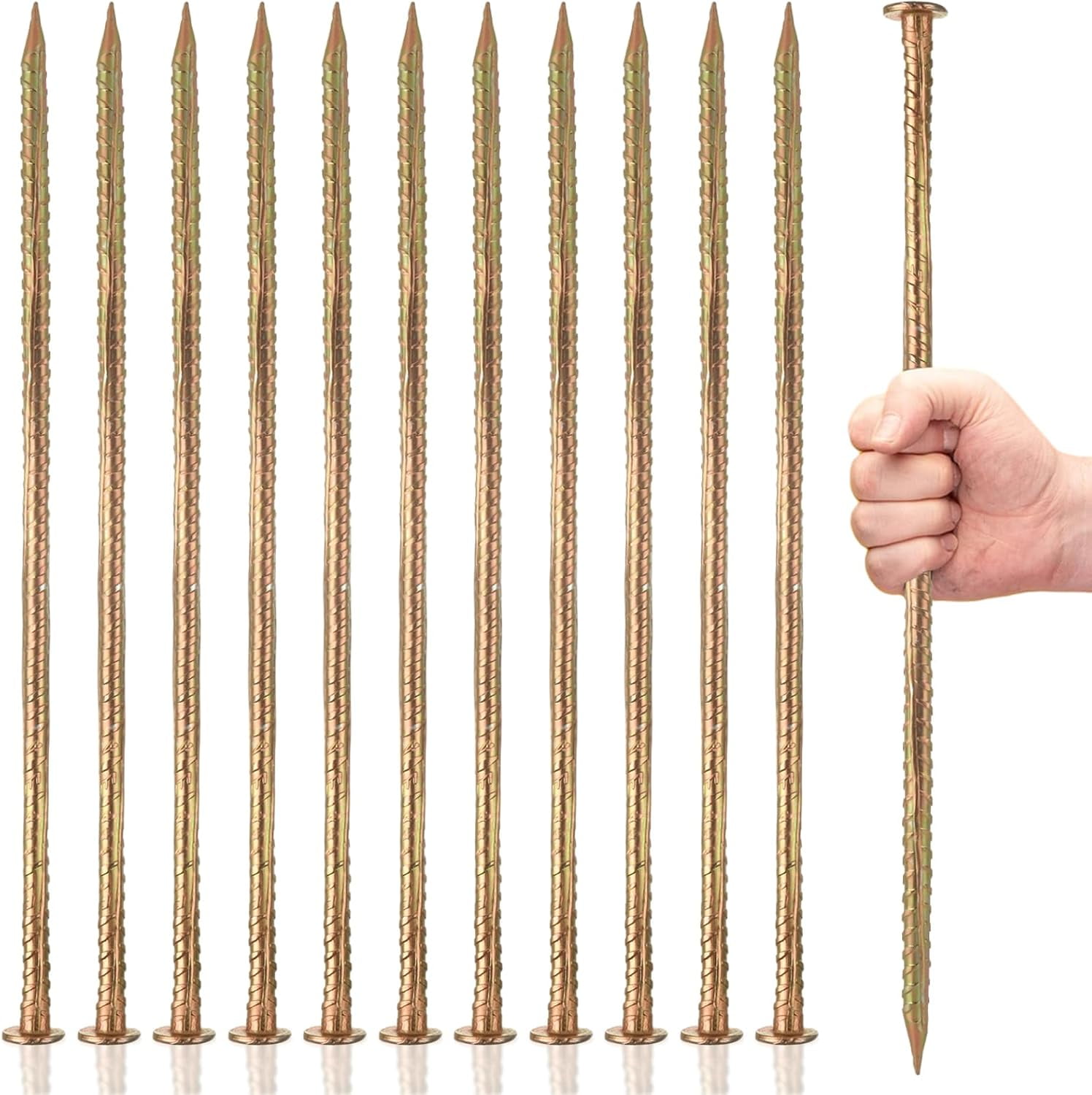 12 Pack 16 Inch Gold Rebar Stakes, 1/2 Inch Diameter, Galvanized Steel ...