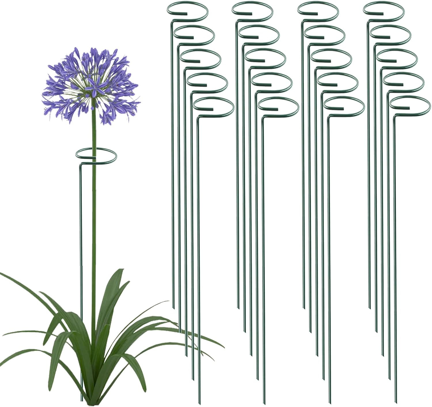 12 Pack 16 Inch Plant Support Stakes, Metal Single stemmed Flower ...