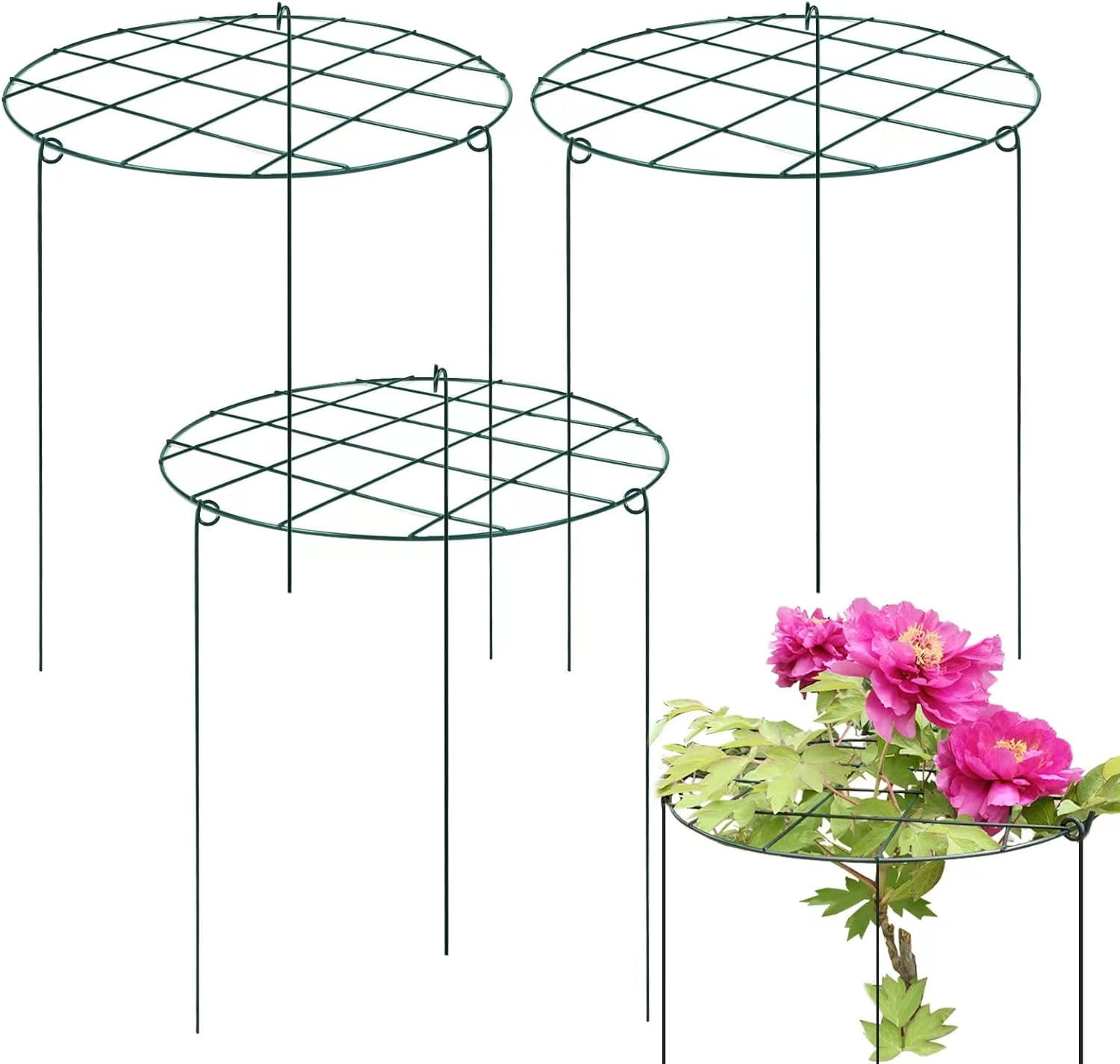12 Pack 16 X 24 Inch Peony Support Cage Grow Through Plant Supports for ...