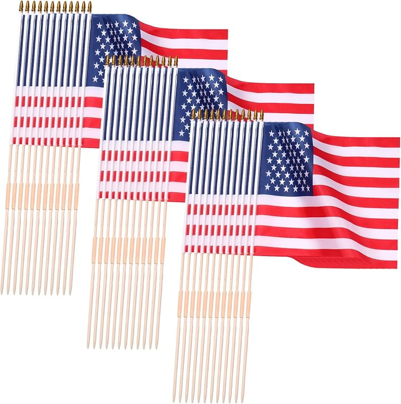 12 Pack 18 x 12 Inch American Flags on Stick, Handheld USA Flags with ...