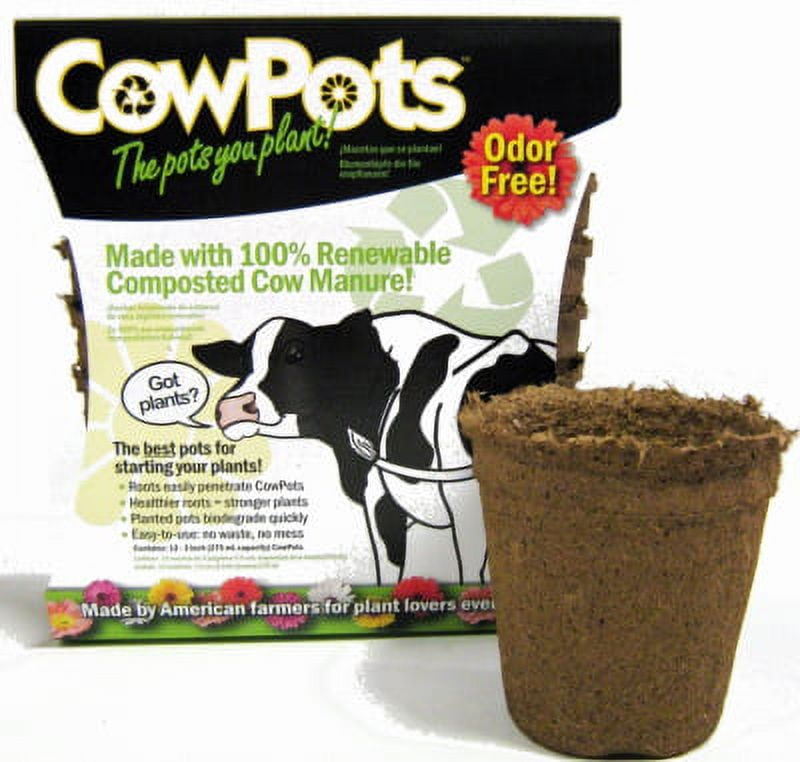 12 Pack 3" Round Cow Pot. Eco-Friendly 100% Renewable Plantable Po ...