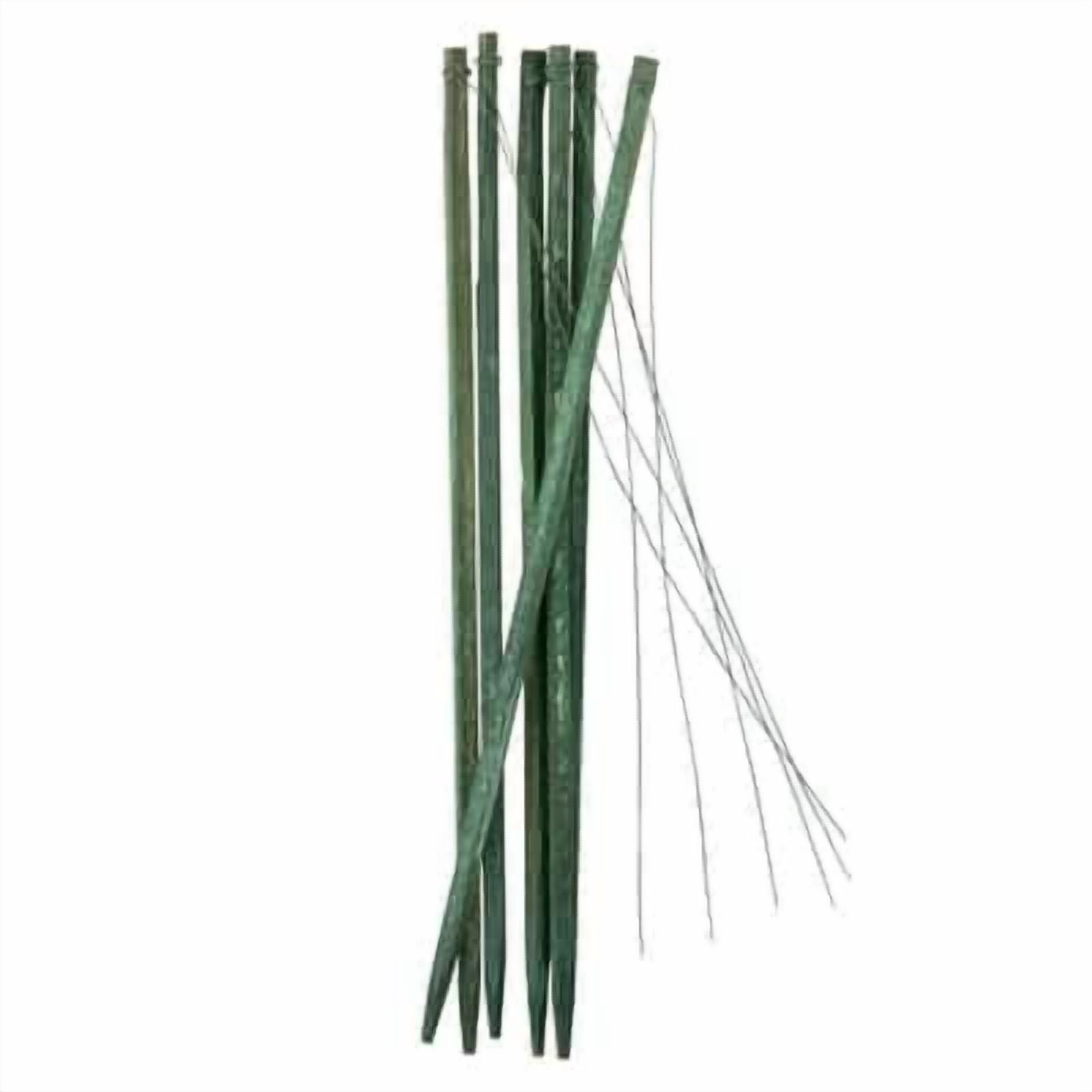 12 Pack: 6" Wired Wood Picks by Ashland - Walmart.com