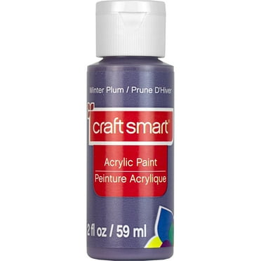 FolkArt Multi-Surface Satin Acrylic Craft Paint Set, 12 Colors, 2oz ...