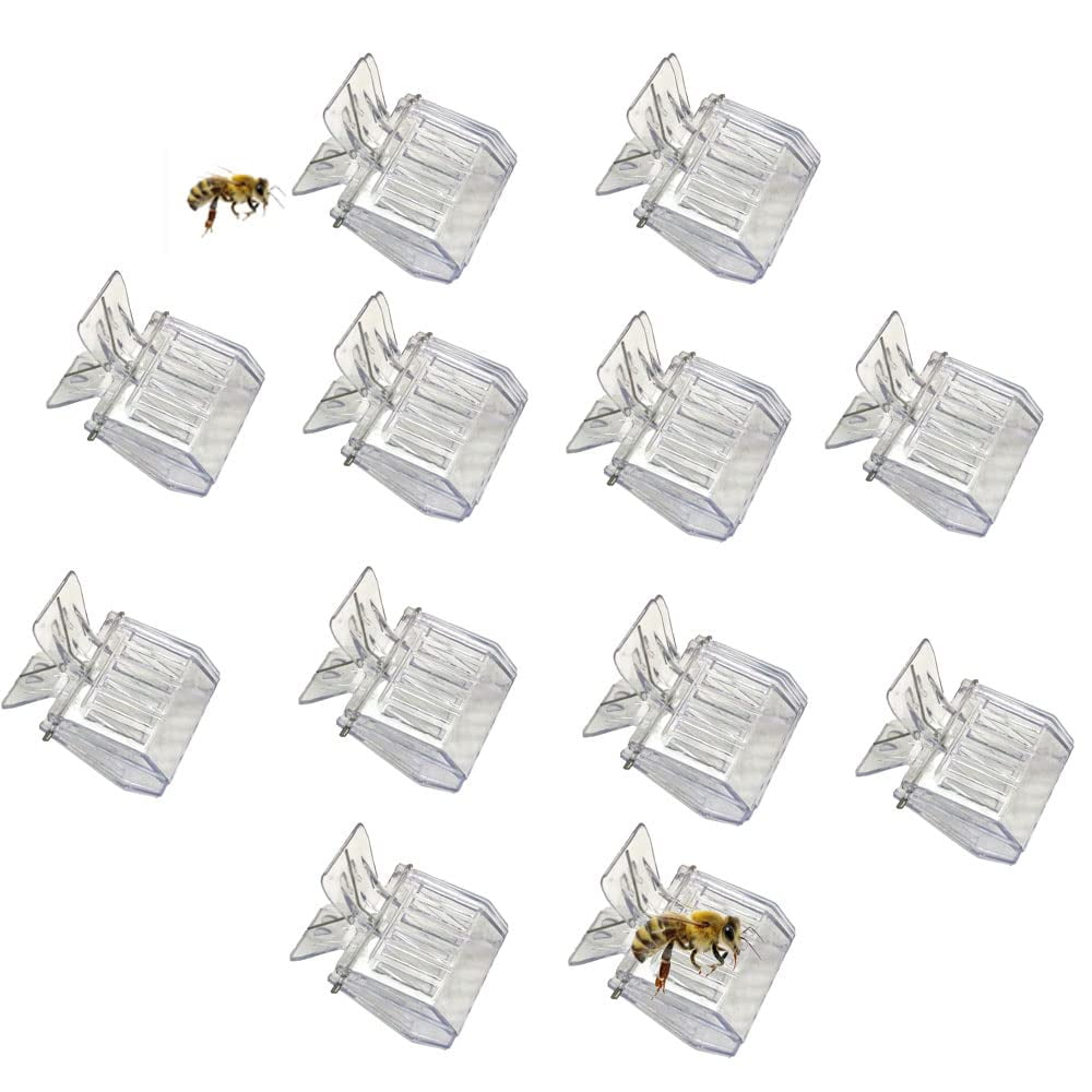 12 Pack Bee Queen Cage Catcher Clips Transparent Plastic Bee Queen ...