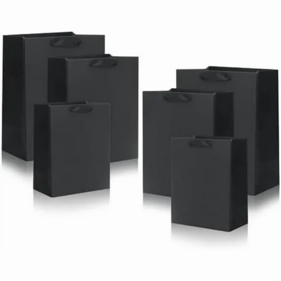 12 Pack Black Gift Bags with Ribbon Handles, Kraft Paper Gift Bags with ...