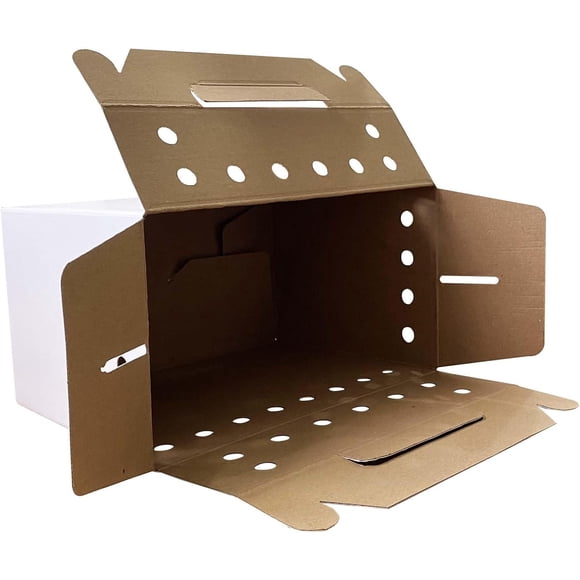 Cardboard Pet Carrier