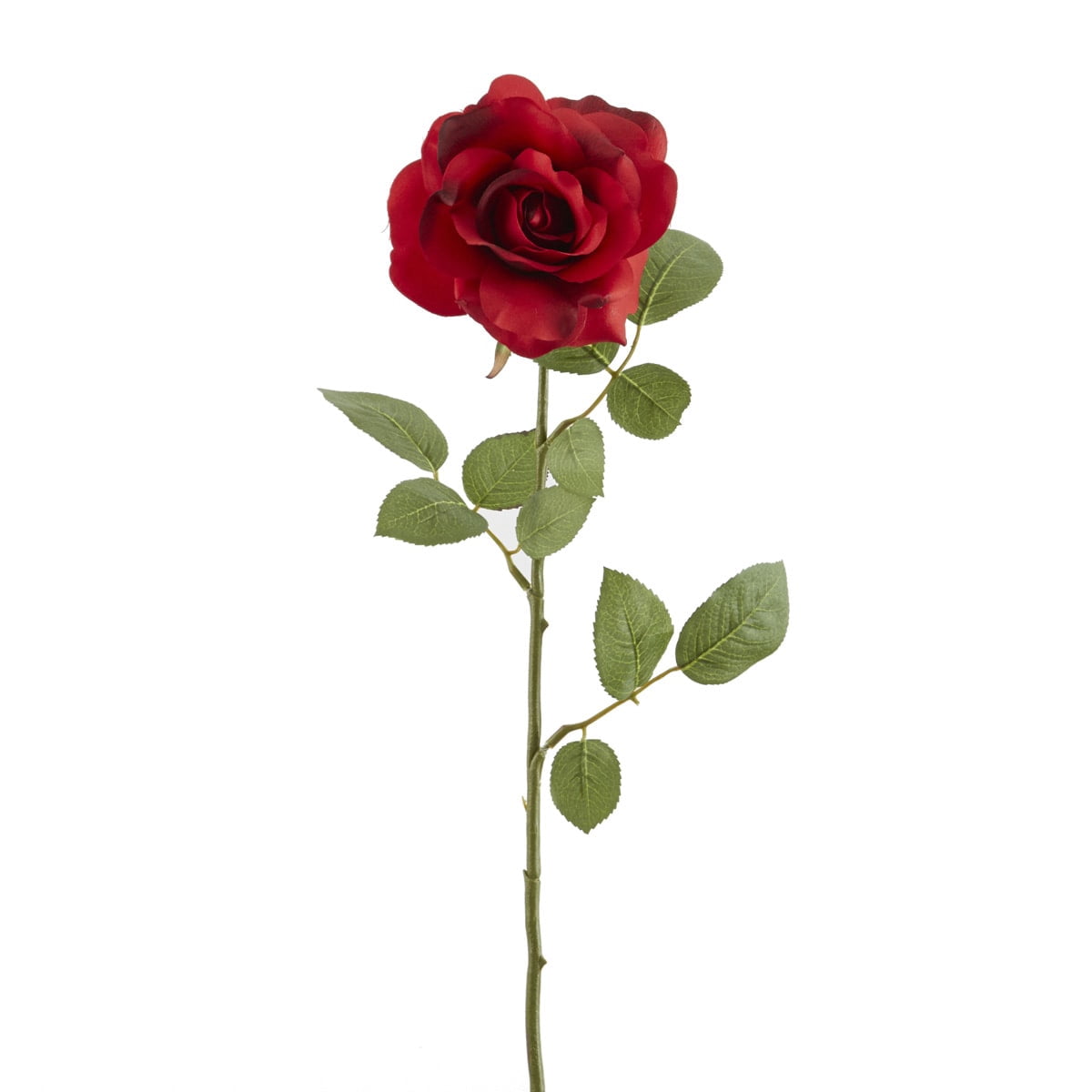 12 Pack: Dark Red Princess Rose by Ashland® - Walmart.com