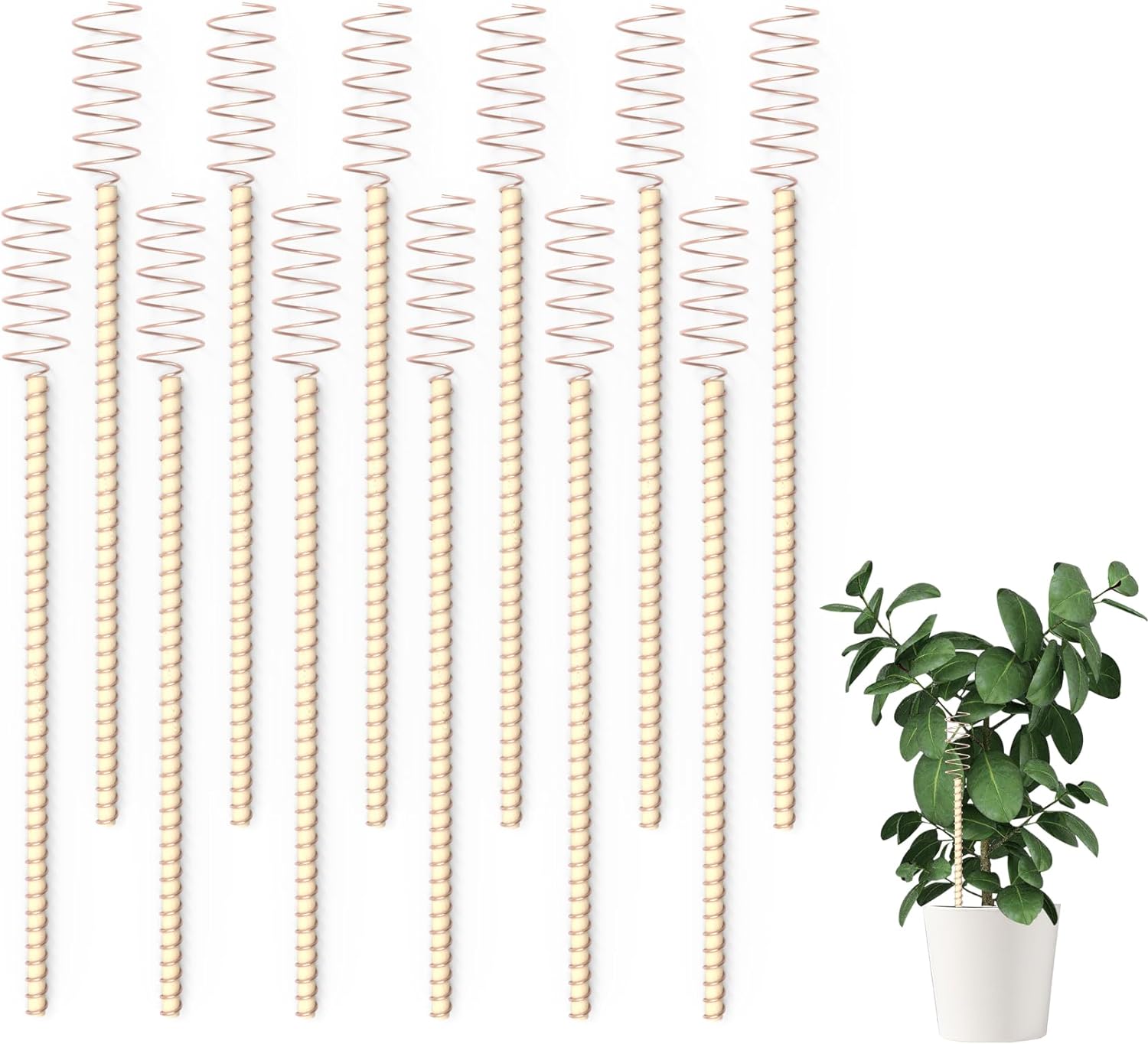 12 Pack Electroculture Plant Stakes, 12" Electroculture Copper ...