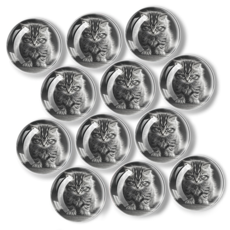 12 Pack Fridge Magnets Refrigerator Magnets, Magnetic Stickers for ...