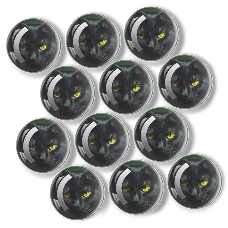 12 Pack Fridge Magnets Refrigerator Magnets, Magnetic Stickers for ...