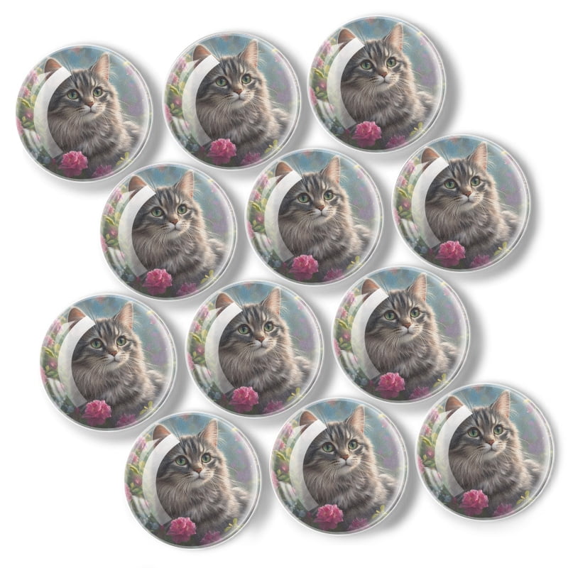 12 Pack Fridge Magnets Refrigerator Magnets, Magnetic Stickers for ...