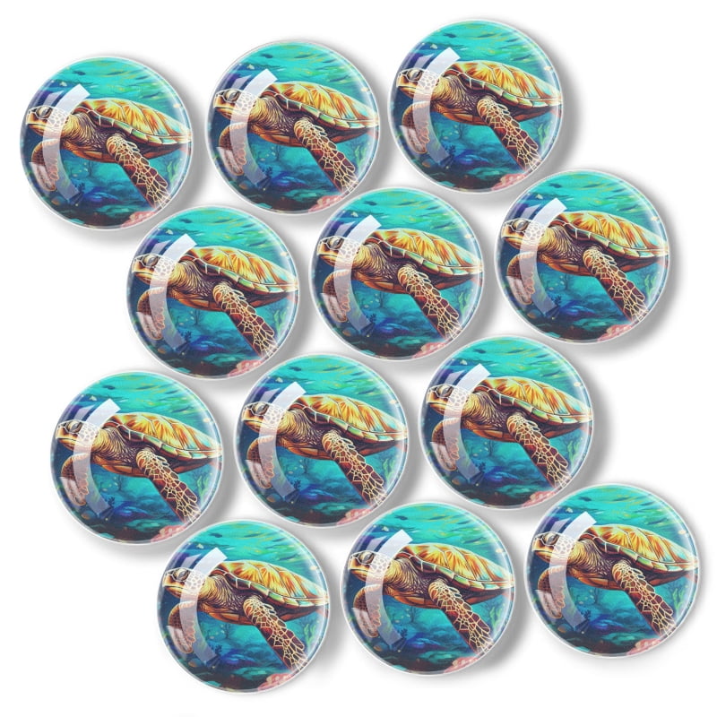 12 Pack Fridge Magnets Refrigerator Magnets, Magnetic Stickers for ...