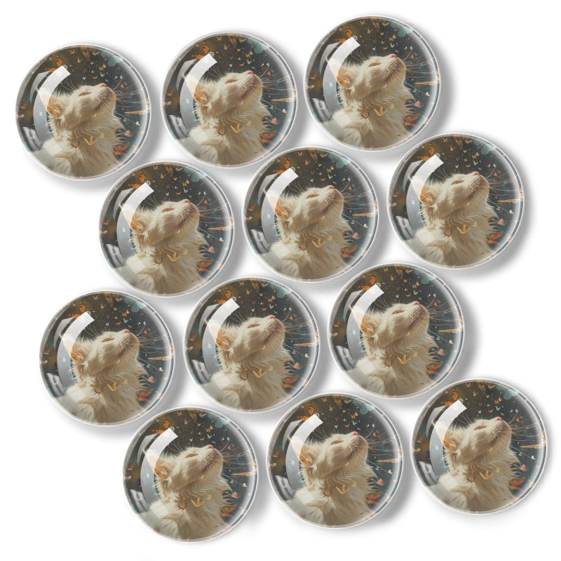 12 Pack Fridge Magnets Refrigerator Magnets, Magnetic Stickers for ...