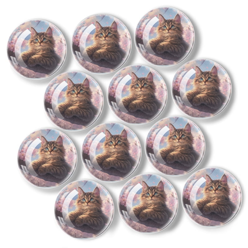 12 Pack Fridge Magnets Refrigerator Magnets, Magnetic Stickers for ...