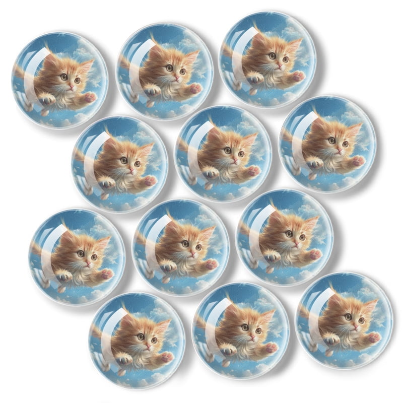 12 Pack Fridge Magnets Refrigerator Magnets, Magnetic Stickers for ...