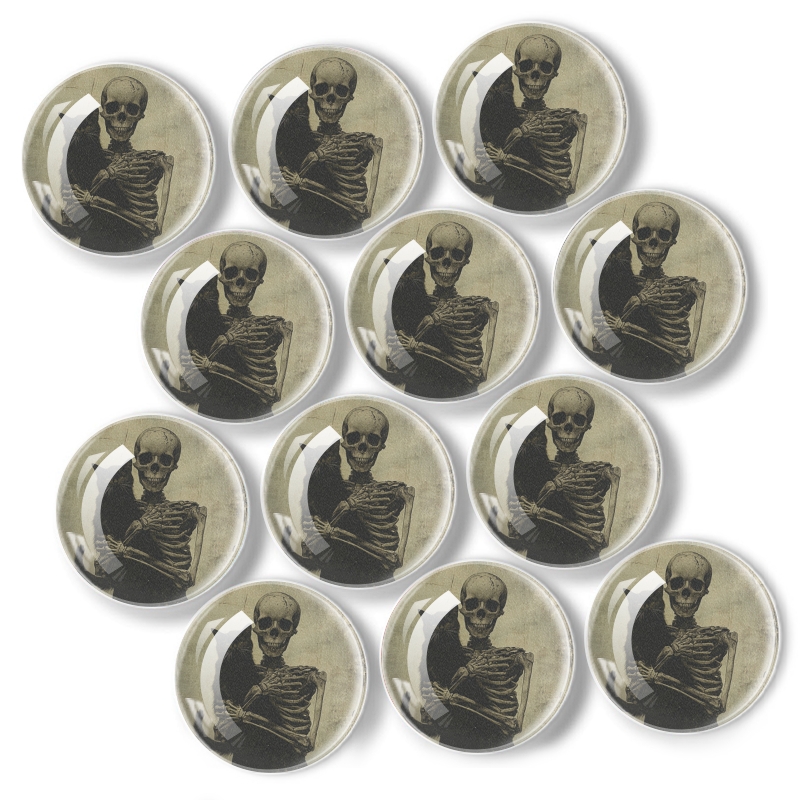 12 Pack Fridge Magnets Refrigerator Magnets, Magnetic Stickers for ...