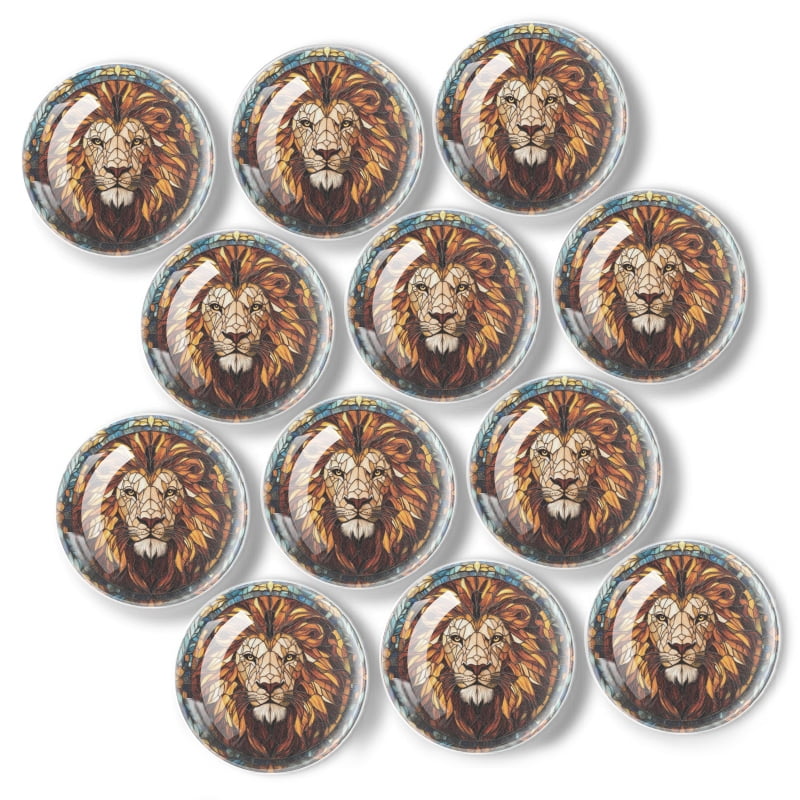 12 Pack Fridge Magnets Refrigerator Magnets, Magnetic Stickers for ...