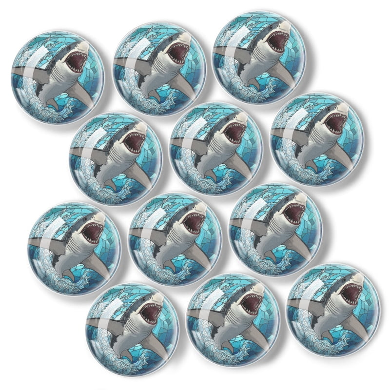 12 Pack Fridge Magnets Refrigerator Magnets, Magnetic Stickers for ...