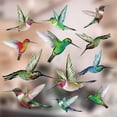 12-Pack Hummingbird Window Clings - Lifelike, Colourful Decals to ...