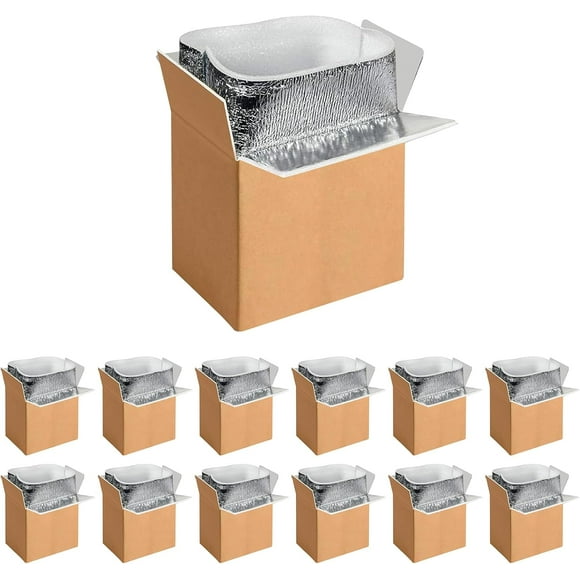 Foam Insulated Shipping Boxes