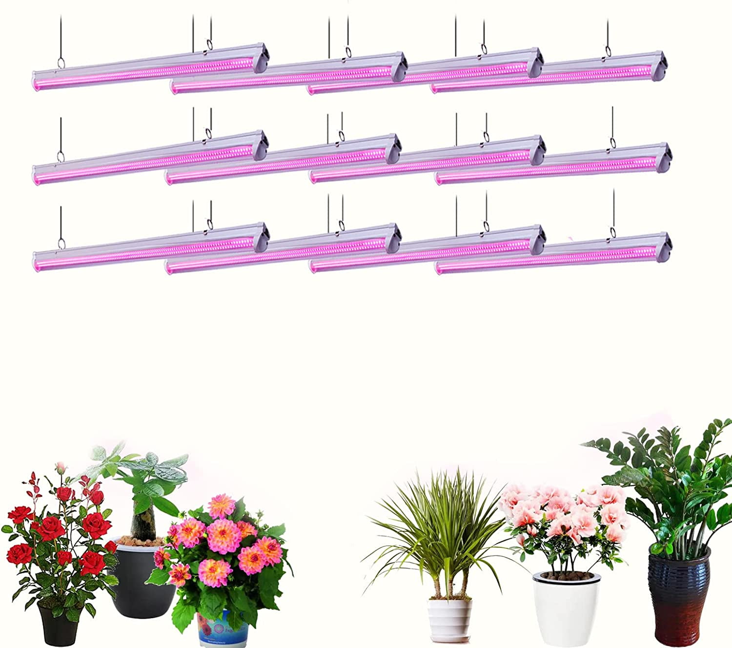 Interior Design Lighting Fixture