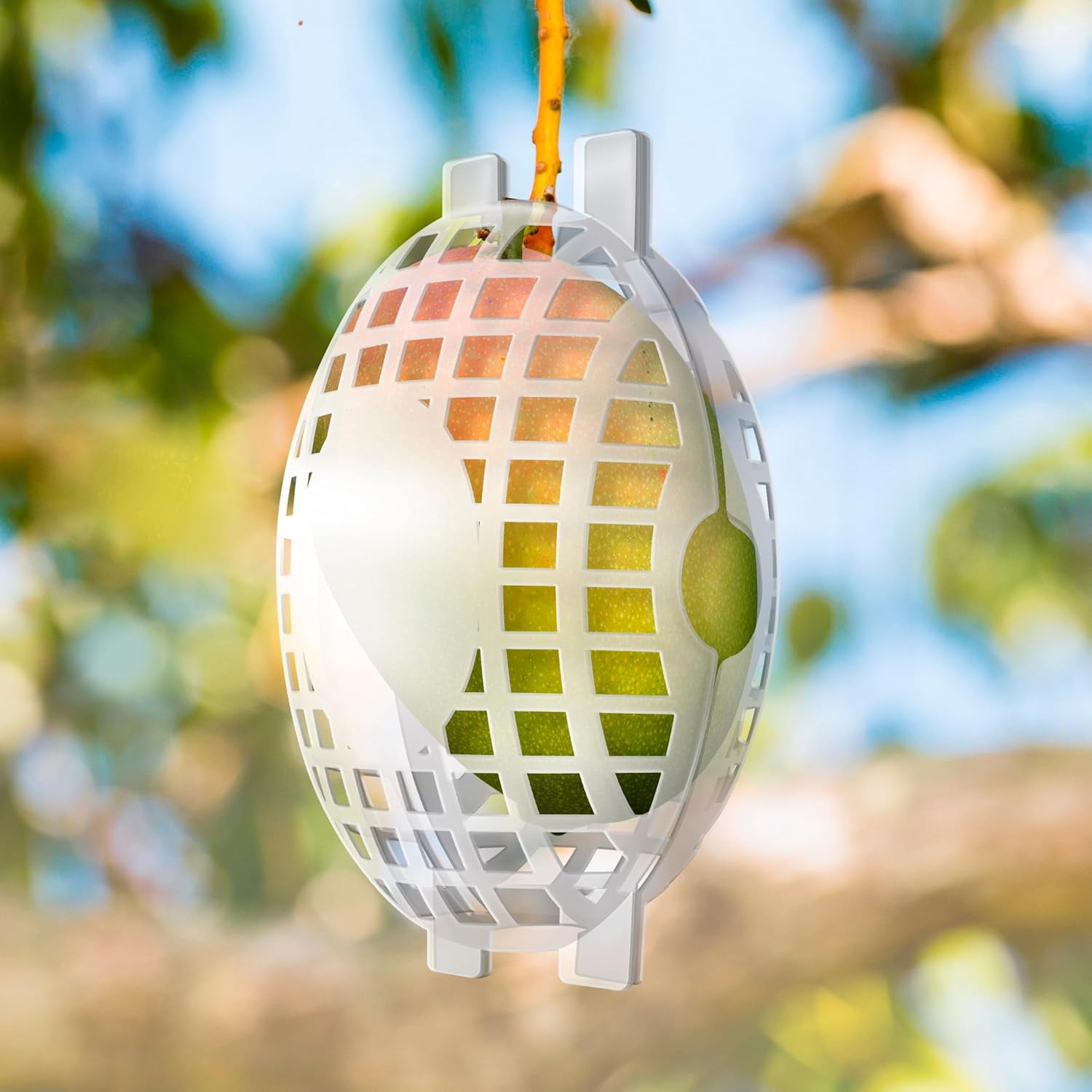 12 Pack Large Fruit Protection Cages 5 x 8 inch, Perfect for Protecting ...