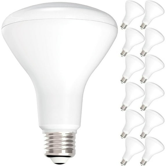 12 Pack Light Bulbs LED, Recessed Can Light Bulbs, Indoor Flood Bulb ...