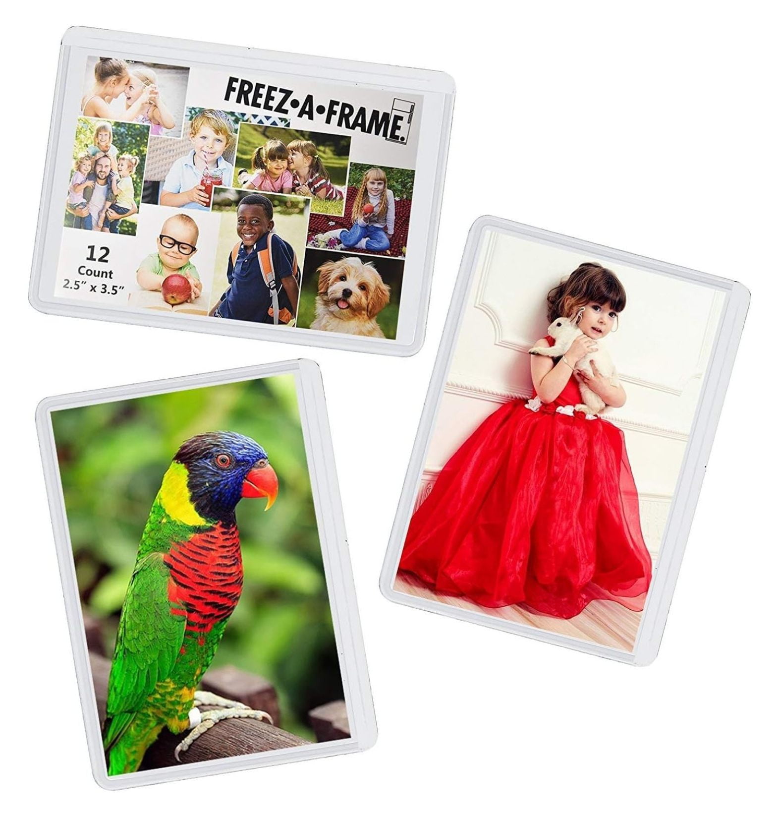 12 Pack Magnetic Wallet Picture Frames Holds 2 1/2" X 3 1/2" Pocket ...